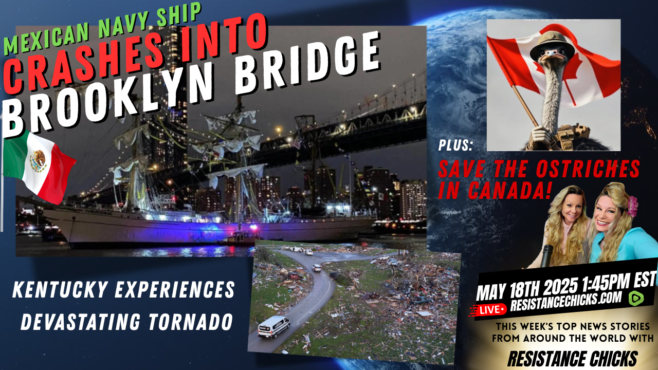 Mexican Ship Crashes into Brooklyn Bridge